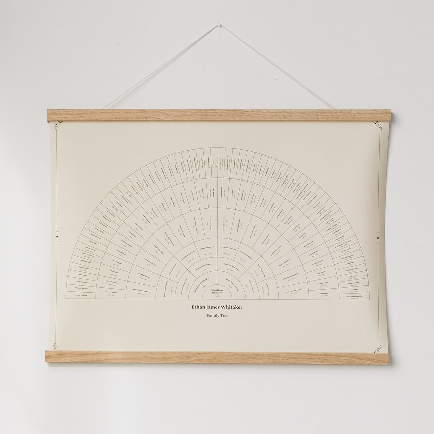 MyCanvas: Ancestry Family Tree Poster