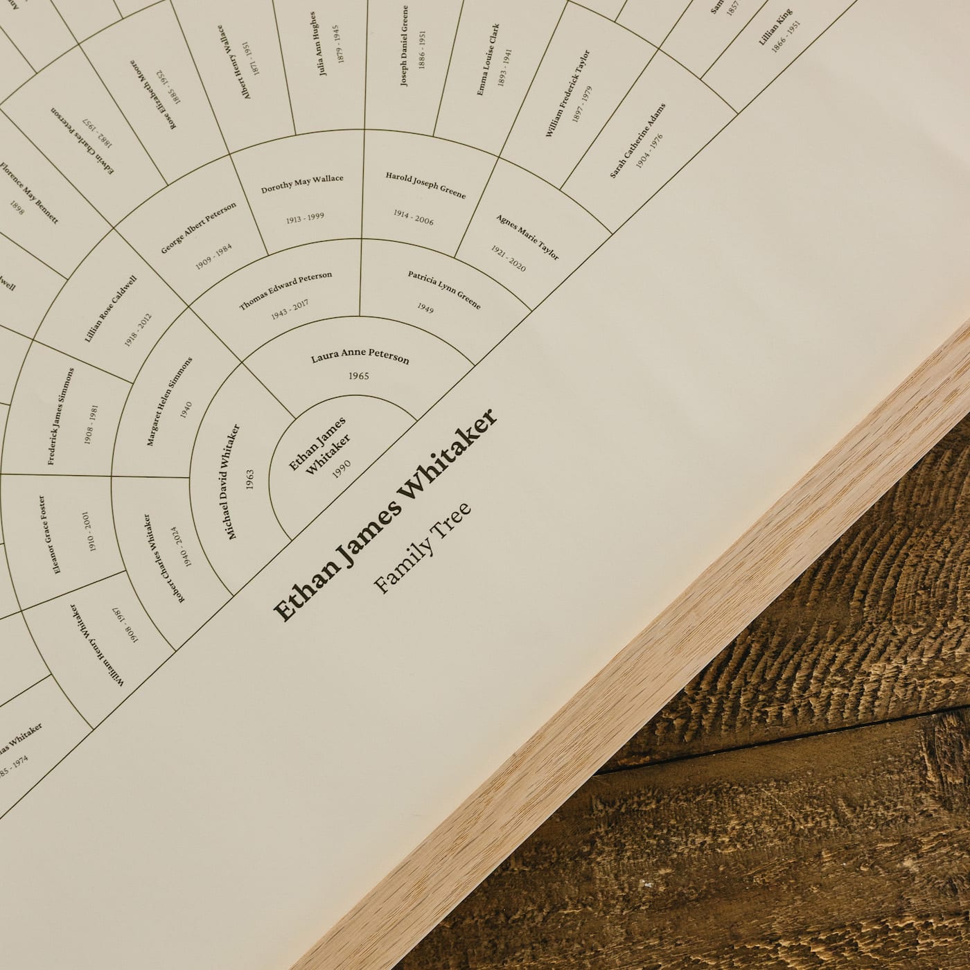 MyCanvas: Ancestry Family Tree Poster