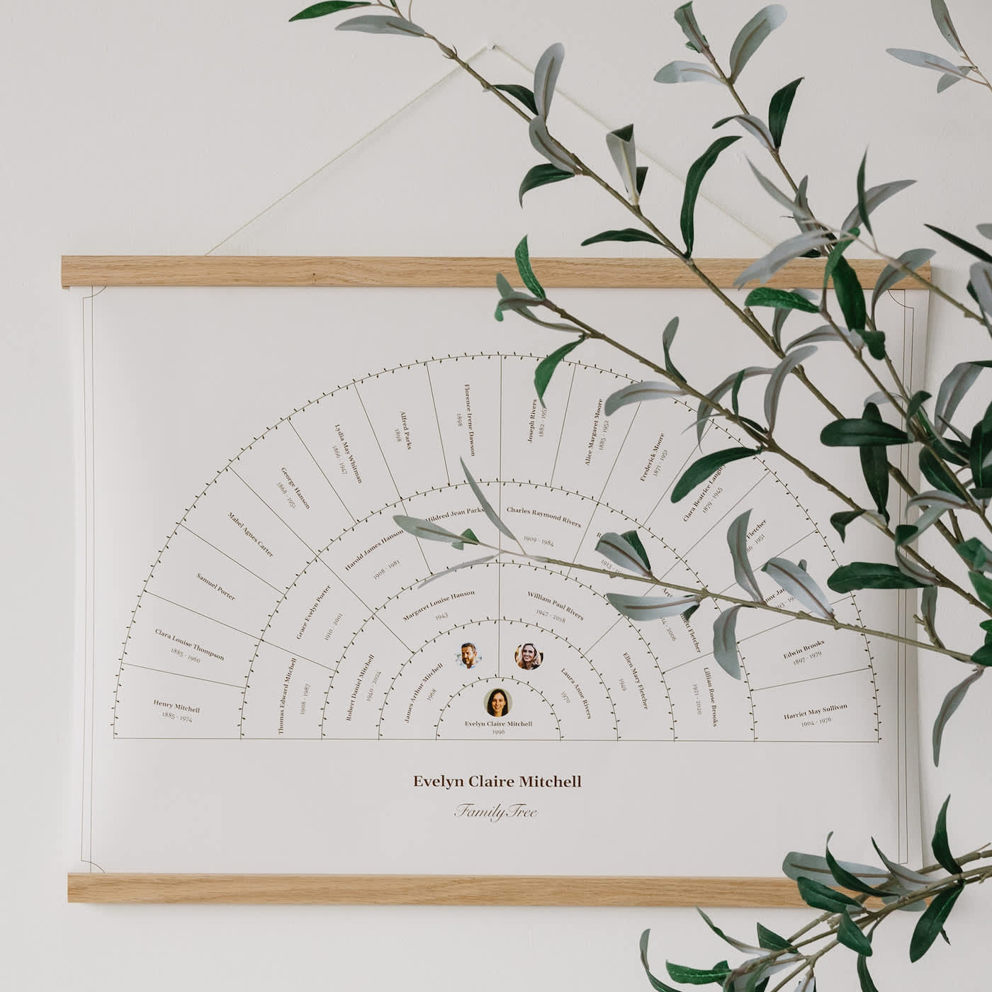 MyCanvas: Ancestry Family Tree Poster