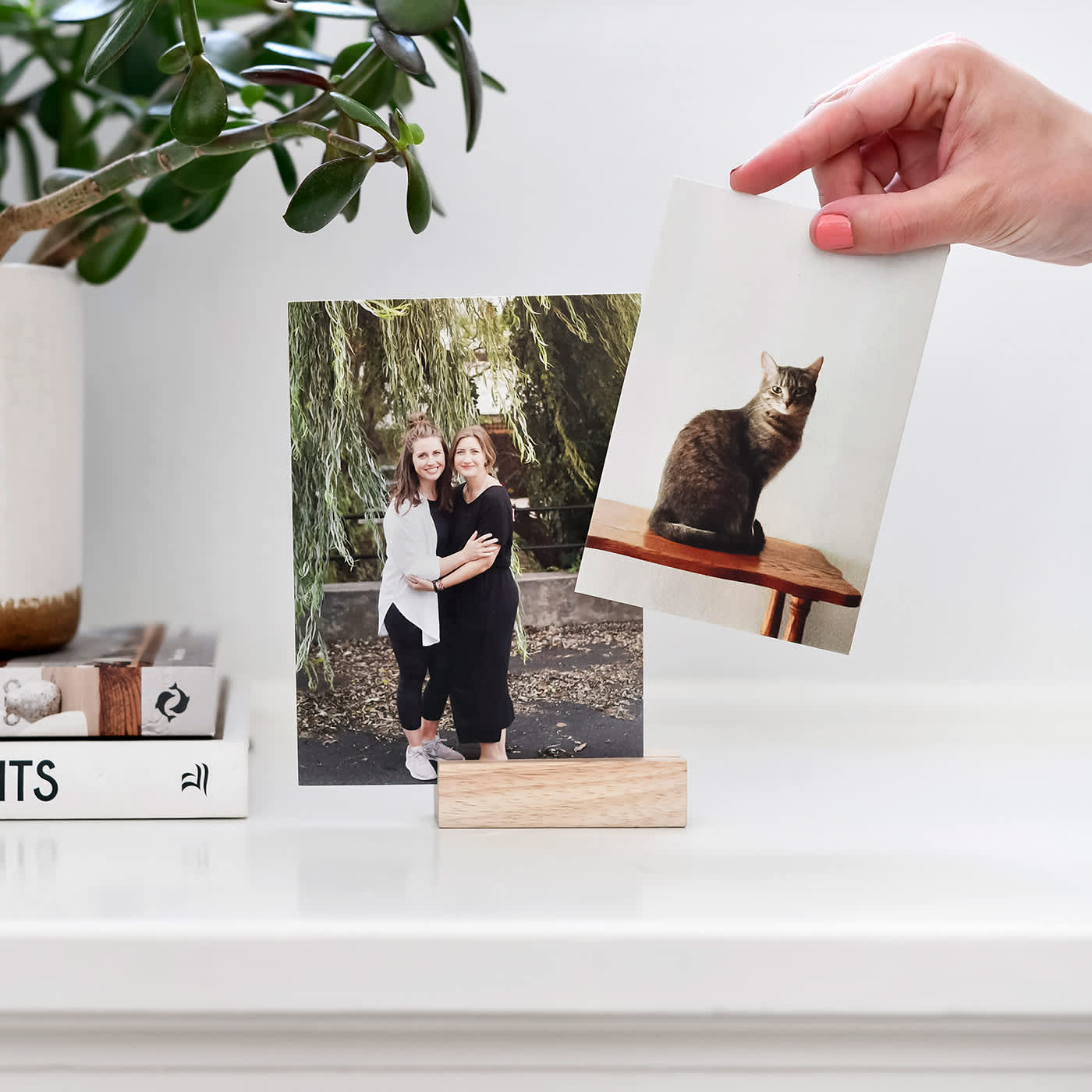 Parabo Press: Classic Prints